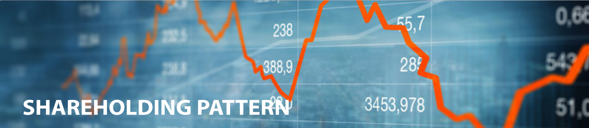 SHAREHOLDING PATTERN – PRECISION